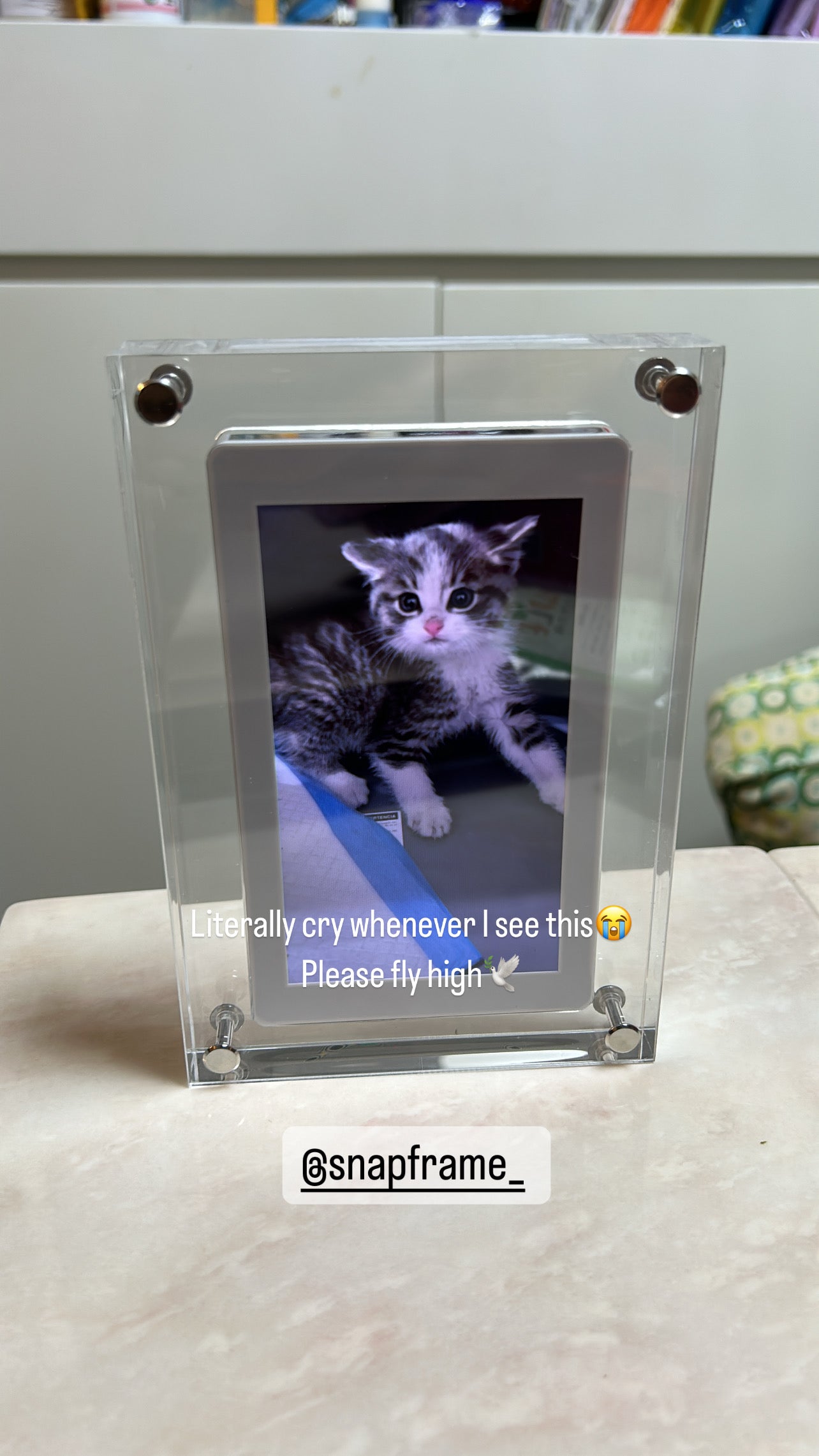 SnapFrame™ Digital Video Frame – Snapframe