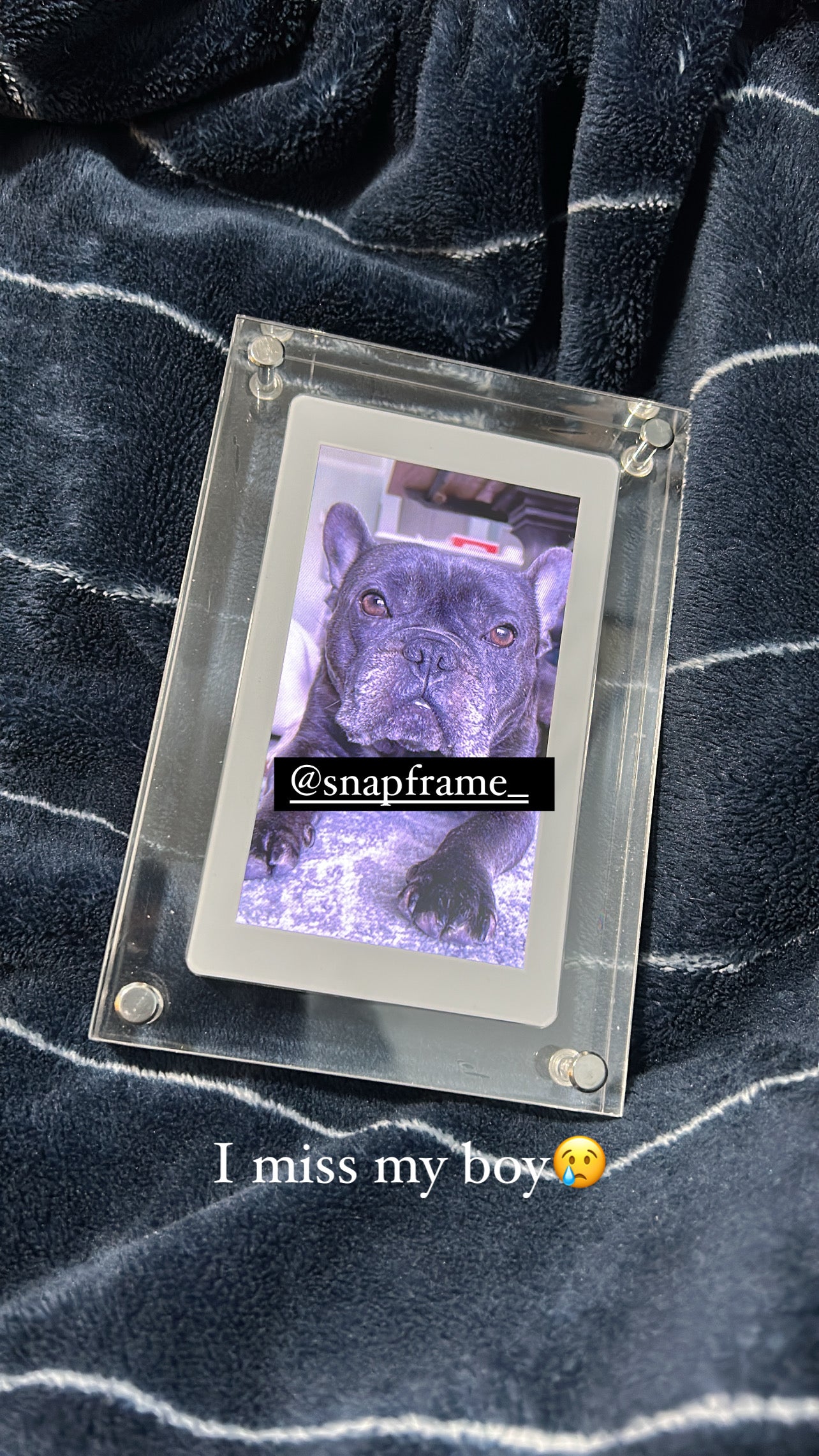 SnapFrame™ Digital Video Frame – Snapframe