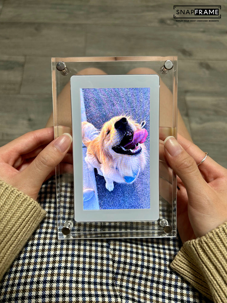 SnapFrame™ Digital Video Frame – Snapframe