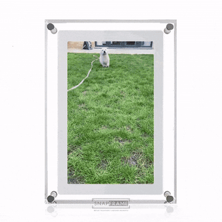 SnapFrame™ Digital Video Frame – Snapframe